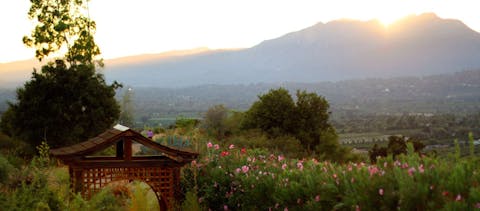 The Pepper Tree, Ventura County, California | Plum Guide