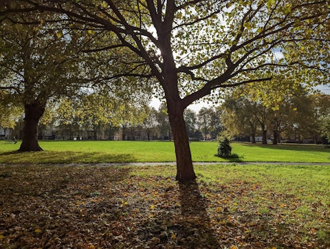 The Knowledge, London, England | Plum Guide
