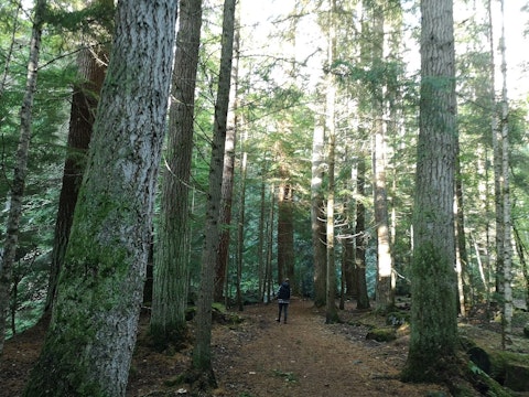 Highland Falls, Highland Council, Scotland | Plum Guide
