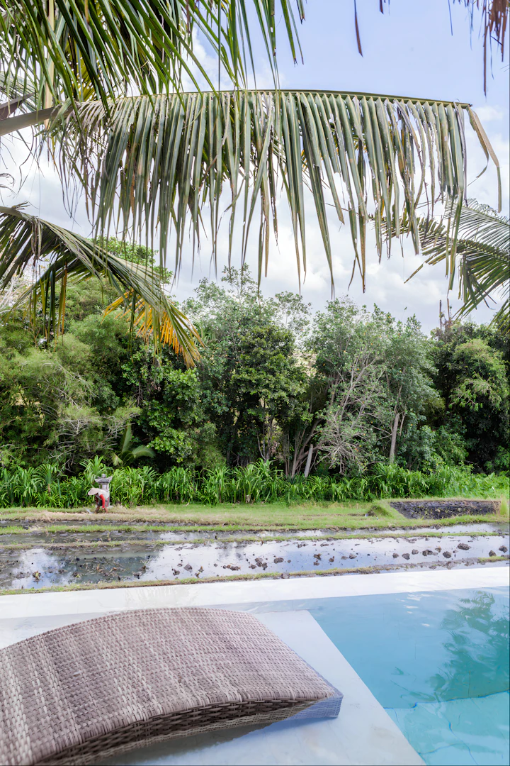 Sweet Jungle, Kuta Utara, Badung Regency | Plum Guide