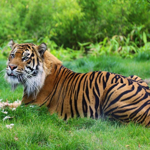 Puttering Along, Primrose Hill, London | Plum Guide