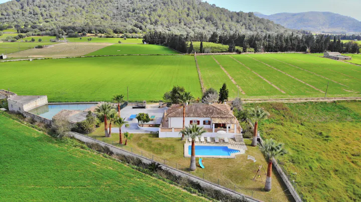 The Dancing Palm, Sa Pobla, Majorca | Plum Guide