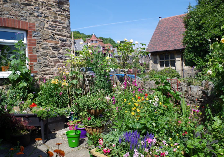 Nature Corner, Devon, England | Plum Guide
