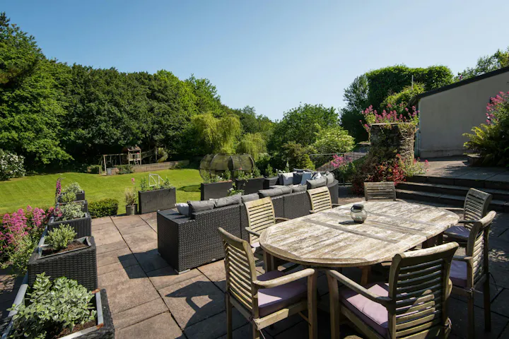 Devonshire Violets, Devon, England | Plum Guide