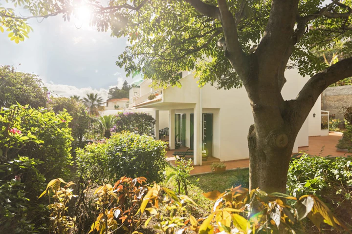 Lost in Funchal Flora, Santa Cruz, Portugal | Plum Guide