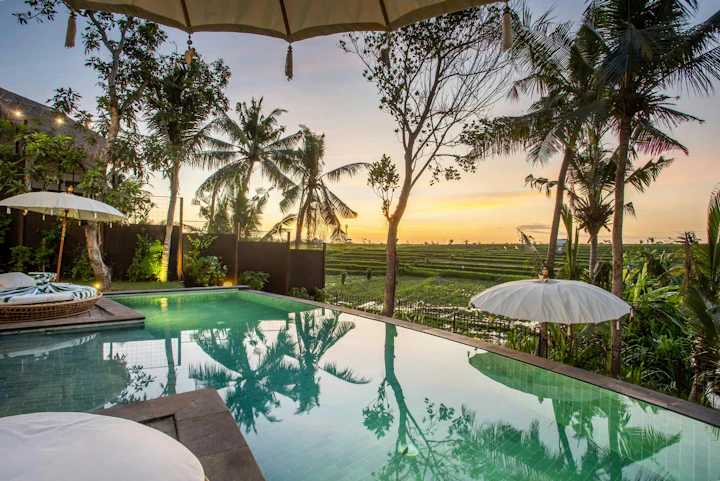 Ubang Dan, Kuta Utara, Badung Regency | Plum Guide
