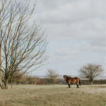 Cottagecore, England, United Kingdom | Plum Guide
