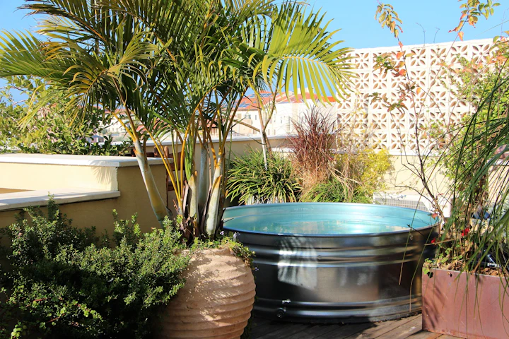 The Green Roof, Tel Aviv-Yafo, Israel | Plum Guide