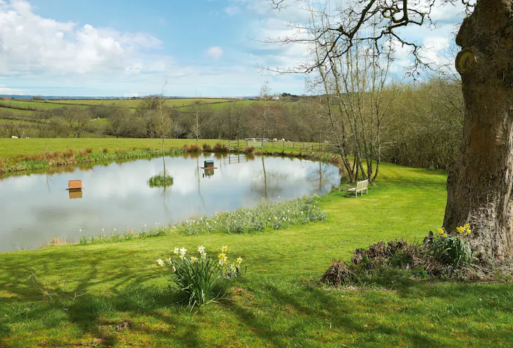 Wildflower Letters, Devon, England | Plum Guide